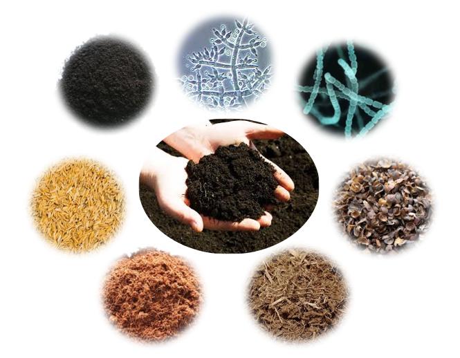 Phân bón hữu cơ, vi sinh, sinh học - Cửa hàng Vật tư nông nghiệp Leo Lyn Garden