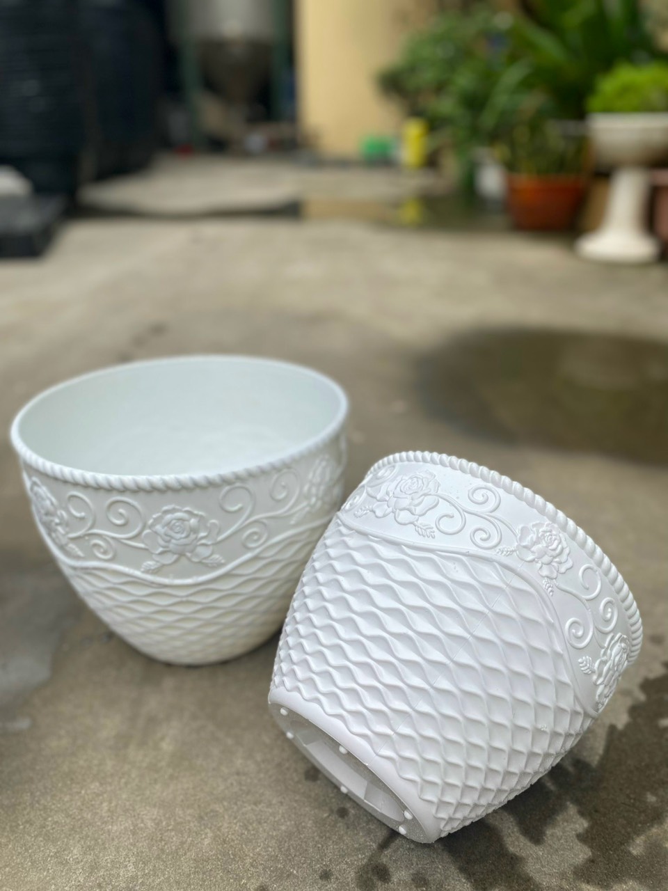 Chậu nhựa trồng cây - Cửa hàng Vật tư nông nghiệp Leo Lyn Garden