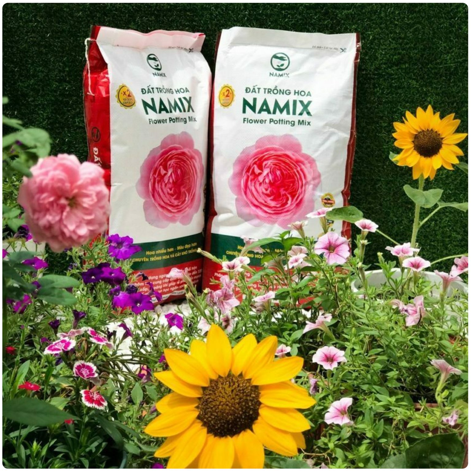 Đất trồng hoa Namix bao 10dm3 khoảng 5kg, đất trồng hoa Namix, giá thể ...