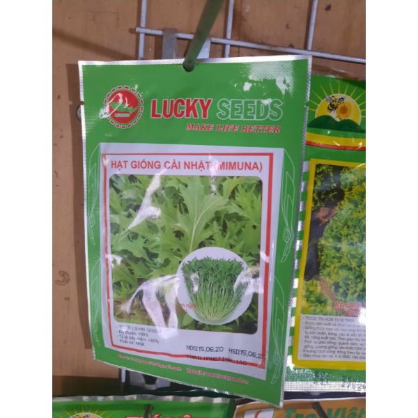 Hạt giống Cải Nhật Bản Mimuna giòn, thơm, dễ chăm sóc, trồng quanh năm gói 10gr - Cửa hàng Vật ...