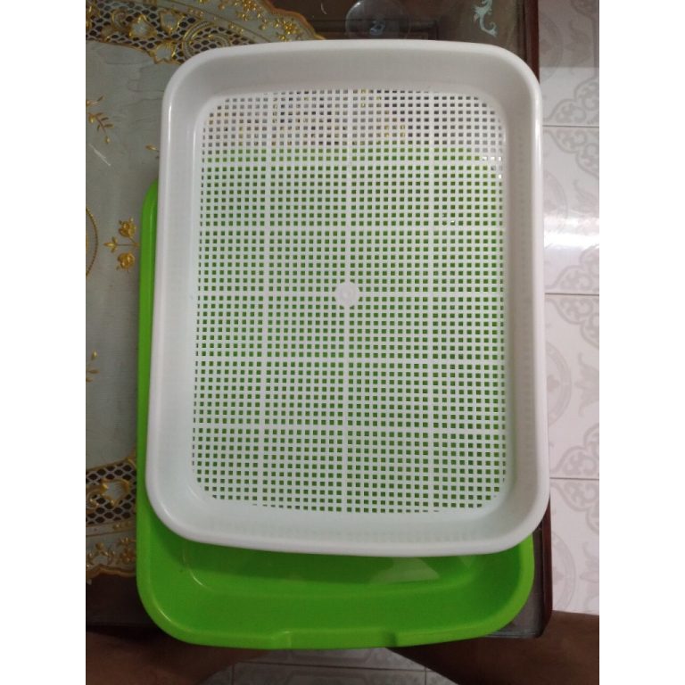 Bộ khay nhựa trồng rau sạch thủy canh, rau mầm, giá đỗ, loại dày dặn đẹp - Cửa hàng Vật tư nông ...
